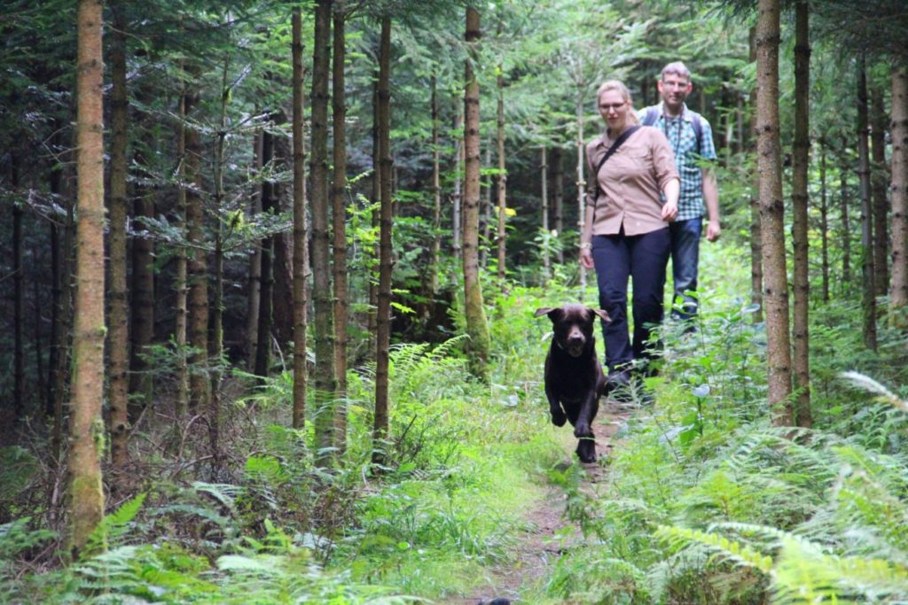 Erfrischend: der Wasser-, Wald- und Wiesenpfad bei Calw - Naturpark ...