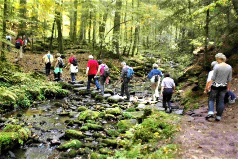 Durchs wildromantische Monbachtal - Naturpark Schwarzwald Mitte/Nord