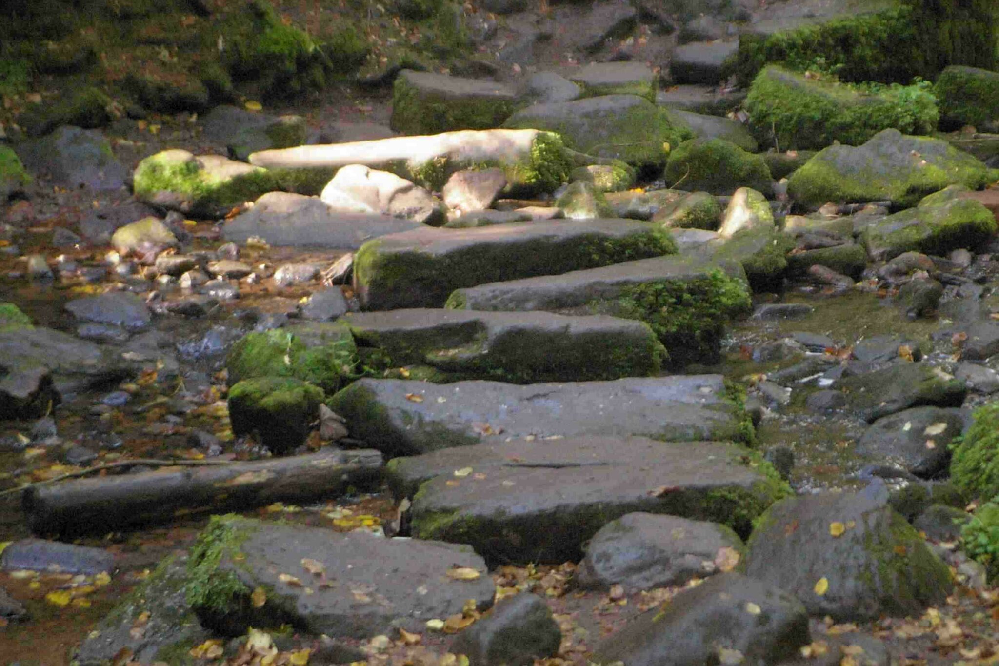 Durchs wildromantische Monbachtal - Naturpark Schwarzwald Mitte/Nord
