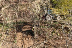 Herzenssache Oberharmersbach - Naturpark Schwarzwald Mitte/Nord