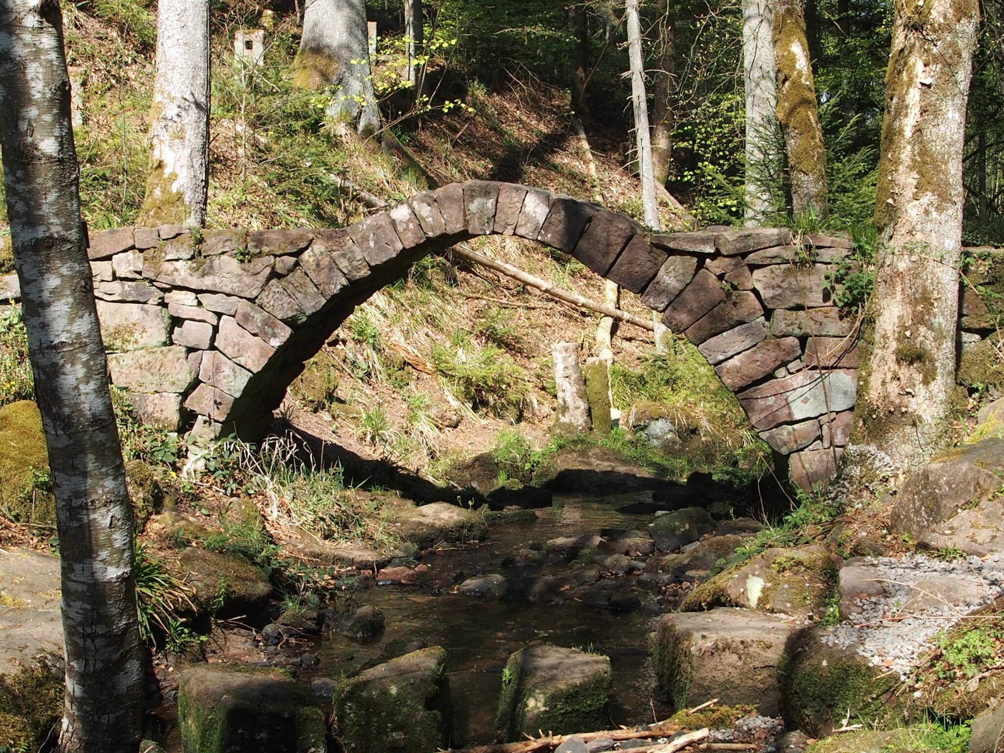 Klosterrunde Calw-Altburg - Naturpark Schwarzwald Mitte/Nord