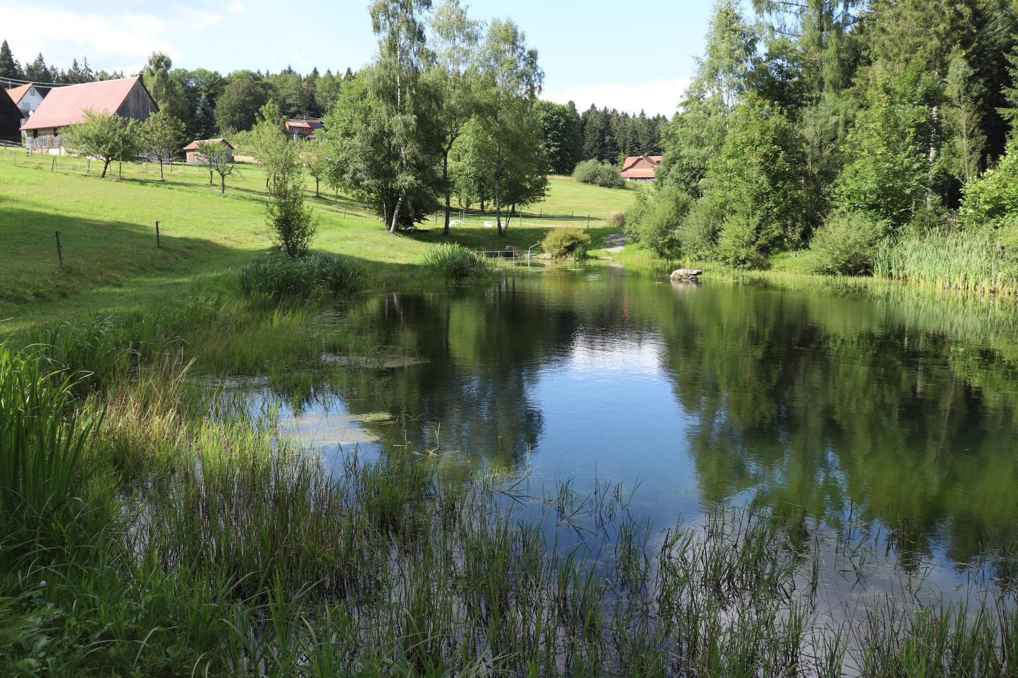 Naturpark-Detektive Wasser - Naturpark Schwarzwald Mitte/Nord