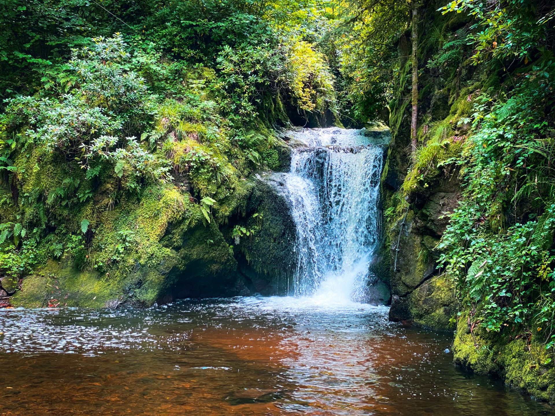 Sehenswürdigkeiten SW - Naturpark Schwarzwald Mitte/Nord
