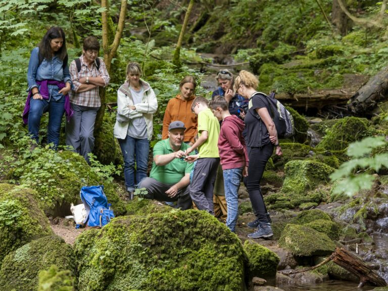 Den Naturpark beim Aktions-Wochenende der Schwarzwald-Guides erleben - Naturpark Schwarzwald ...
